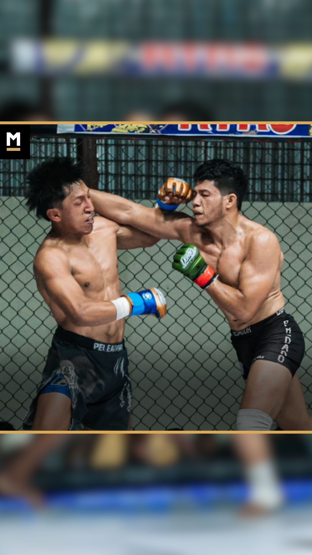 Troncal Fight League: Molina dominates MMA fight. | PPV