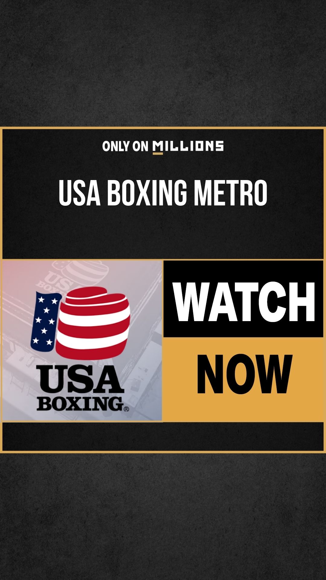 USA Boxing Metro: Youthful boxing rivalry. | PPV